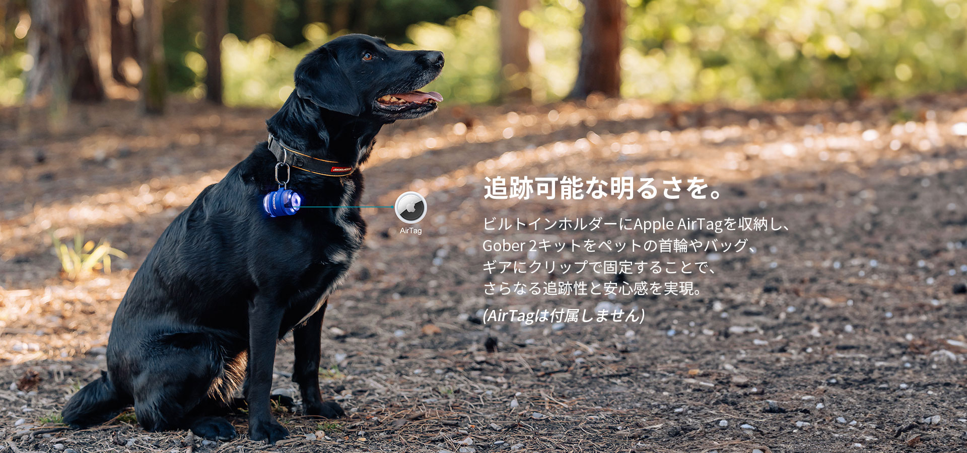 Gober 2 多機能マグネットライト 軽量防水11モード搭載 - Olight Japan